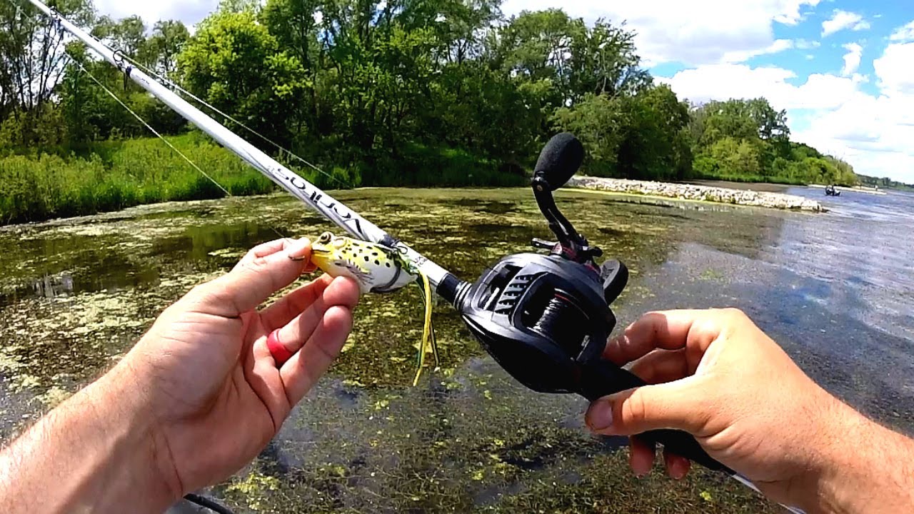 How to Master Frog Fishing in Thick Grassy Water