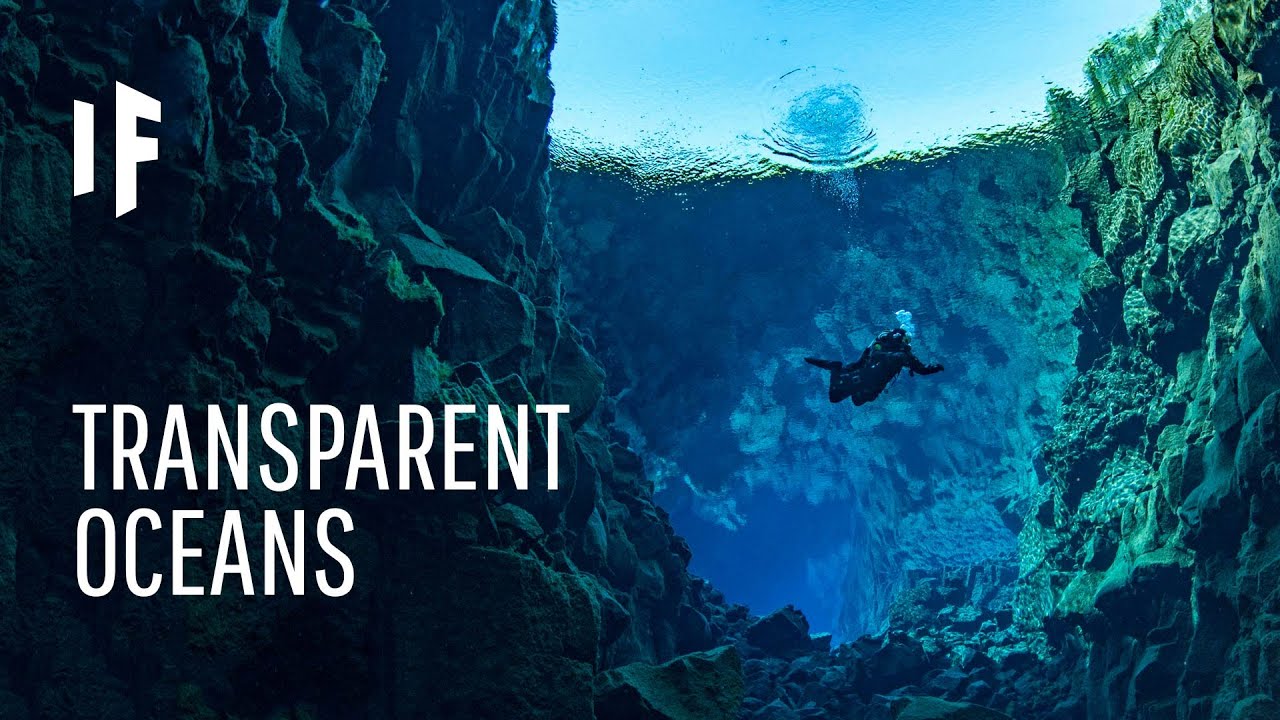 What it would look like if the ocean became transparent