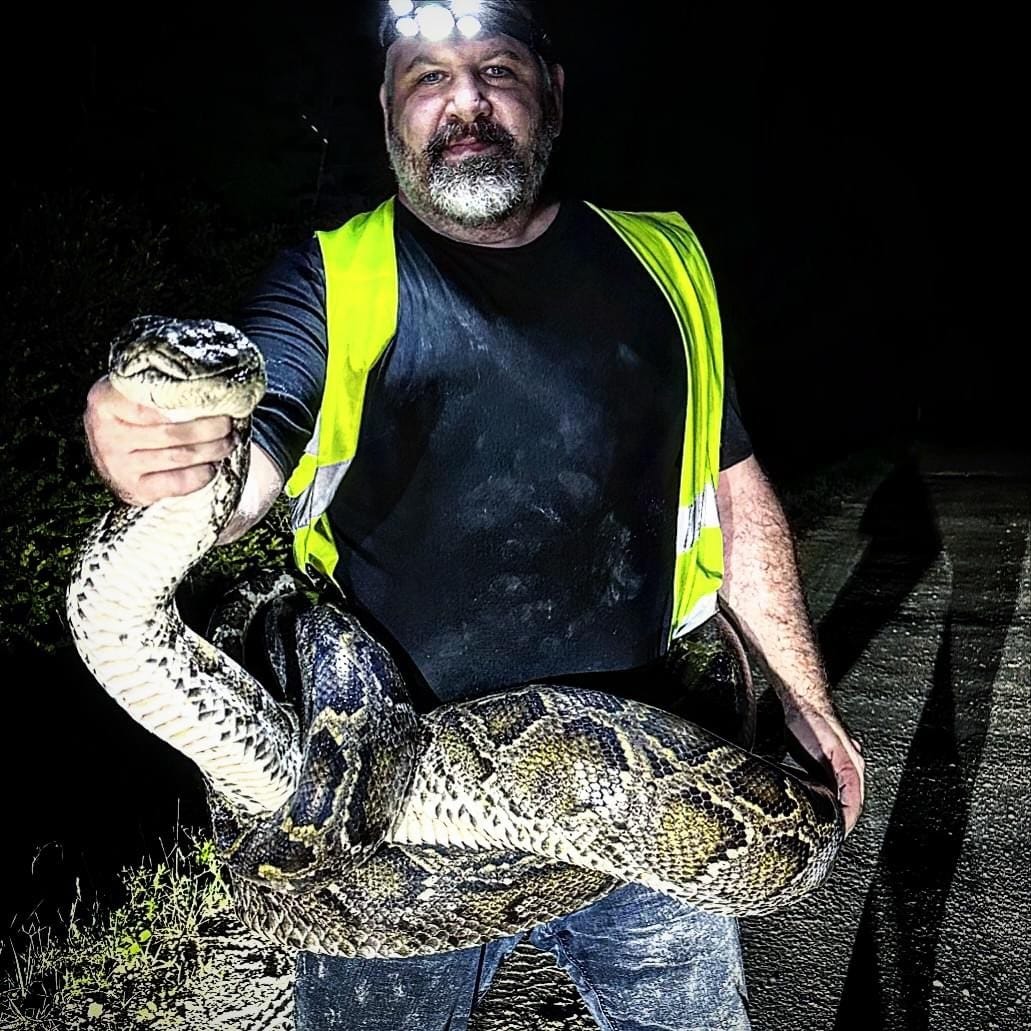 Florida snake hunter wrestles super-sized Burmese python. Watch him ...