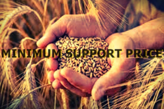 Cabinet increases minimum support price for raw jute by Rs 315