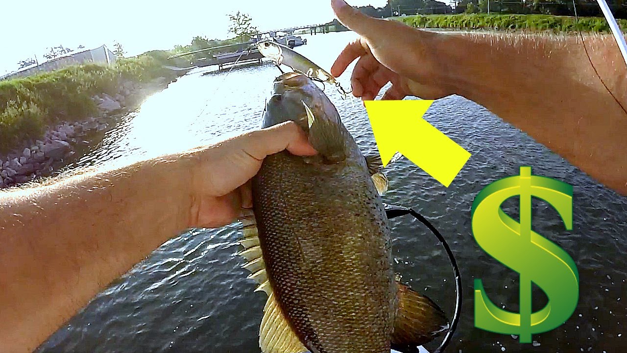 Deadly topwater trick likely never tried by most anglers