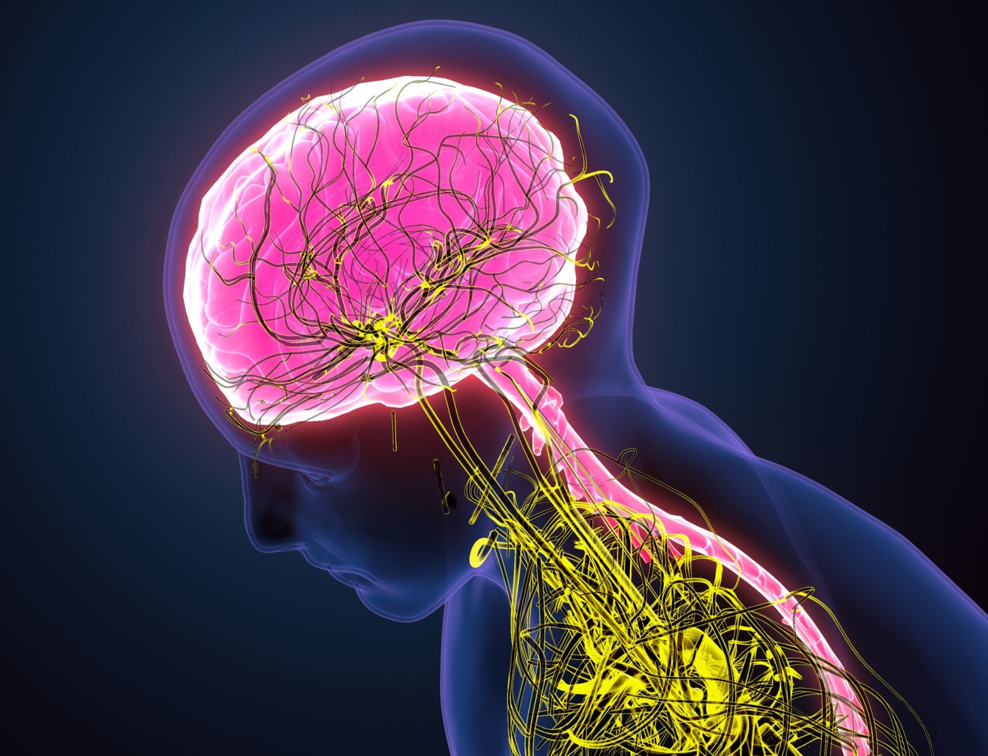 Allt du behöver veta om multipel skleros