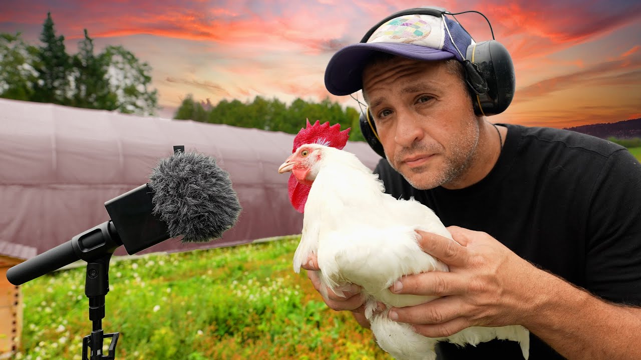 How I turned my farm life into an audiobook and what happened