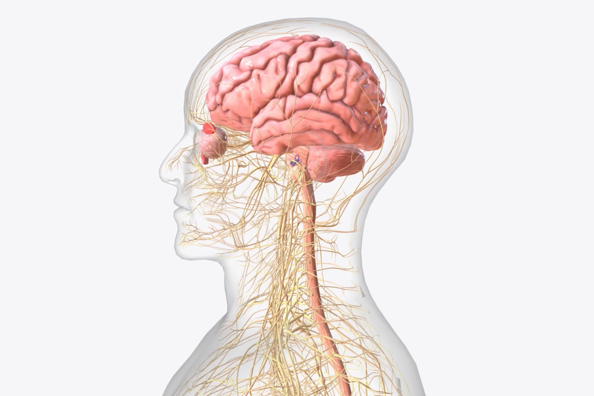 Age-specific tips for better sleep