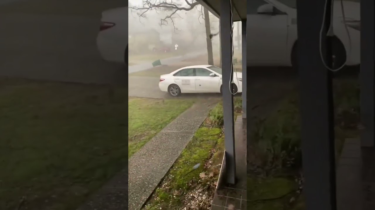 My dog reacts to odd sounds while sleeping soundly