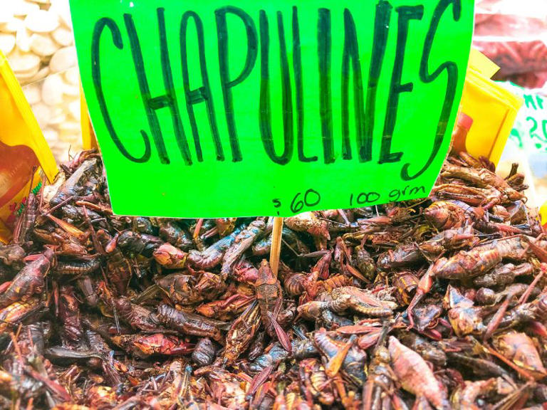 Bugs, Brains, and Beyond: 7 Shocking Mexican Foods You Didn’t Know Existed