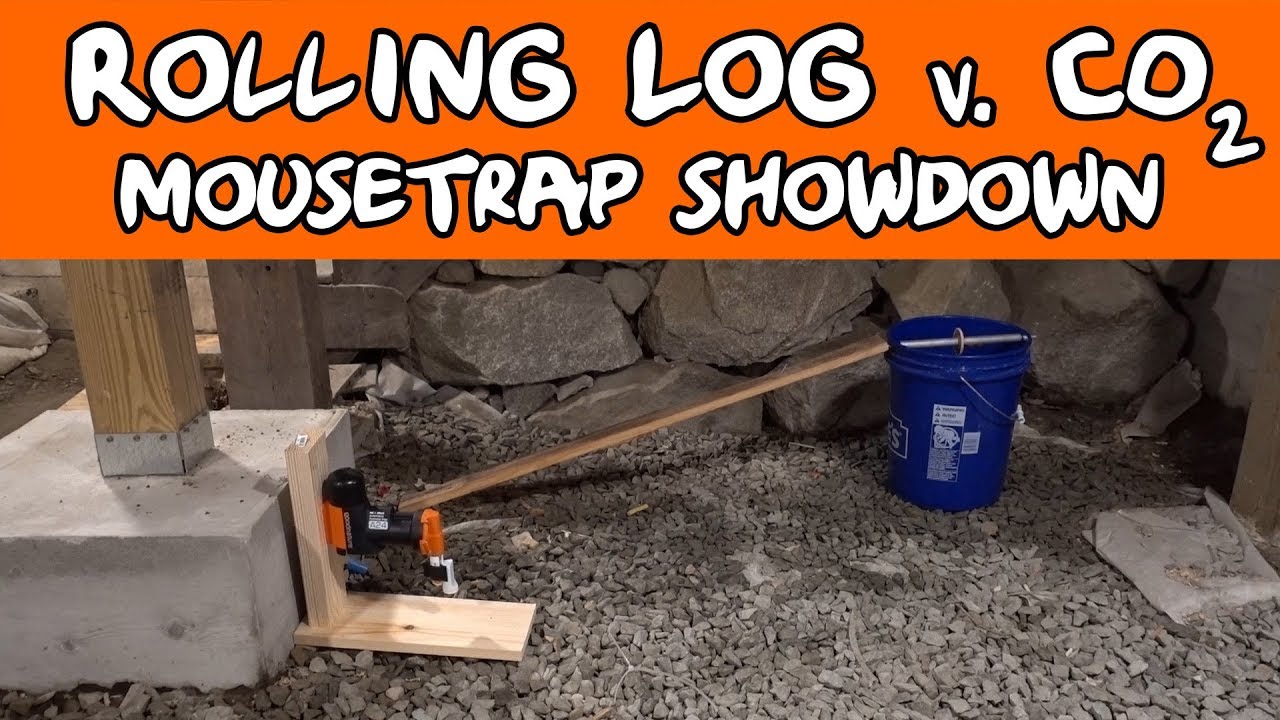 Rolling log versus Goodnature CO2 mouse trap efficiency