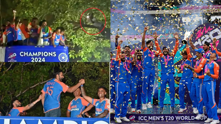 Rohit Sharma, Virat Kohli's Reaction Goes Viral As Fan Climbs Tree To ... Rohit Sharma, Virat Kohli's Reaction Goes Viral As Fan Climbs Tree To ...