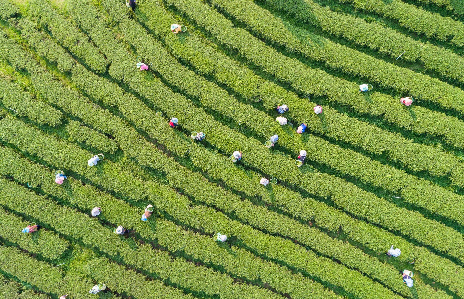 What is female rage, and how can you manage it?