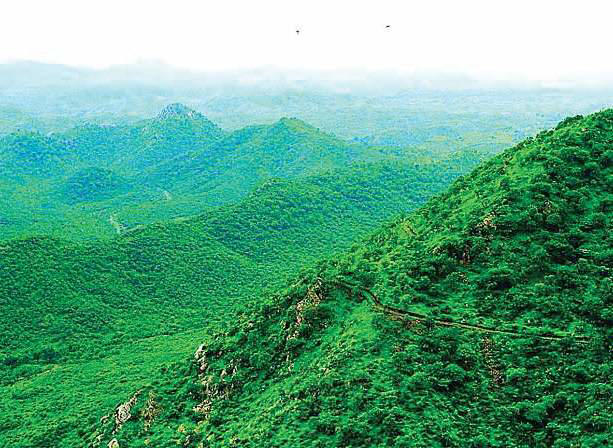 'Scrap proposed wildlife safari project, save Aravalli hills,' say ...