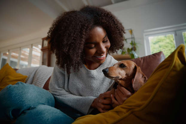 Common misconceptions about dogs, debunked Common misconceptions about dogs, debunked