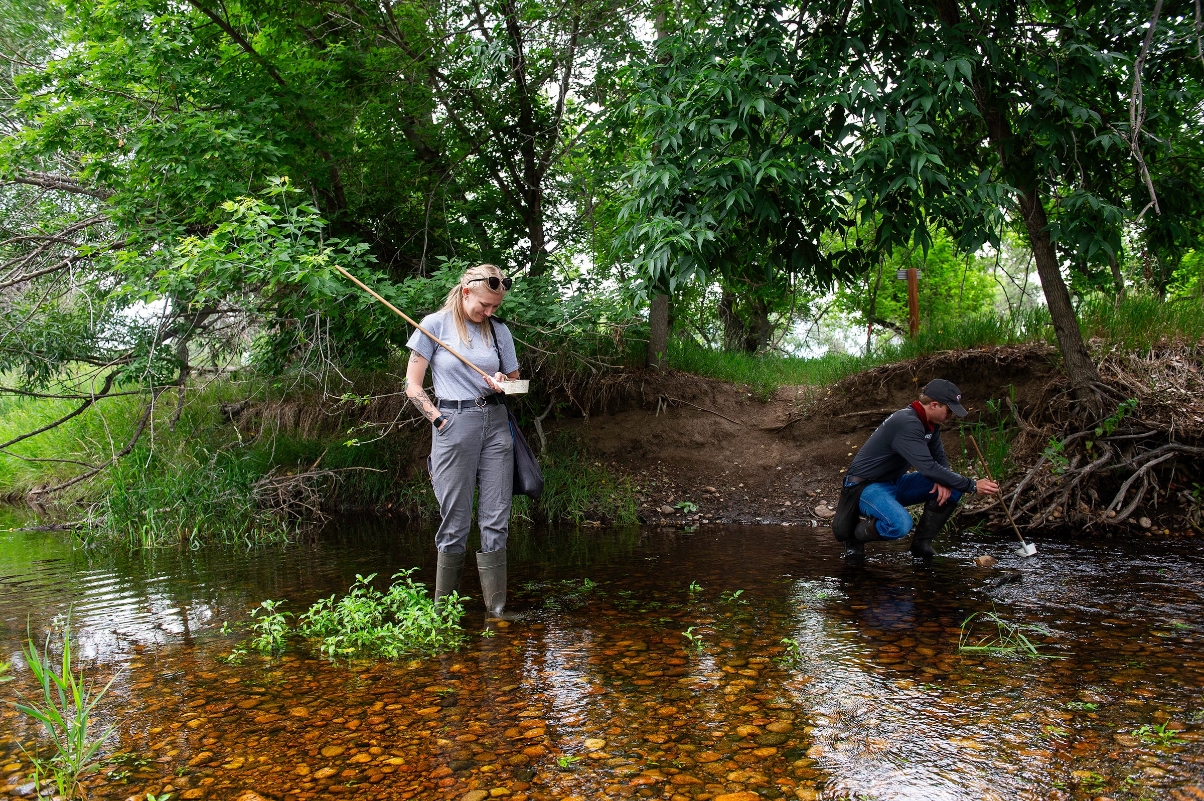 City to spray for mosquitoes in west Fort Collins due to high West Nile ...