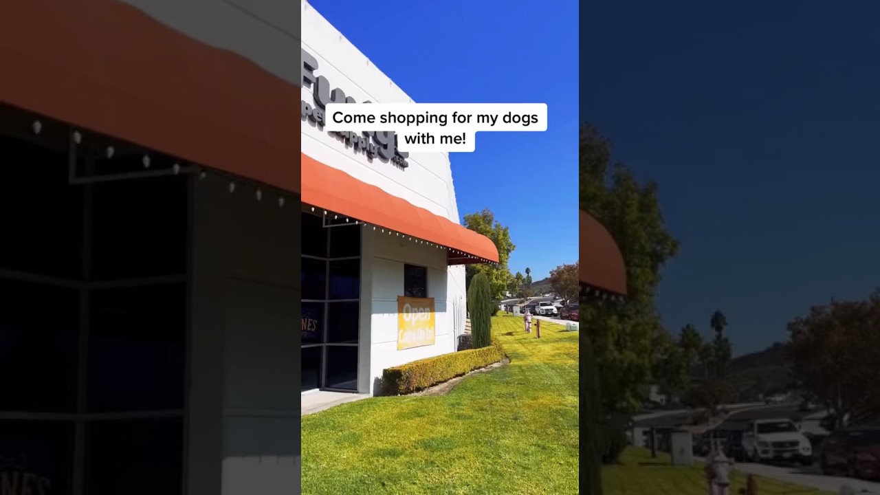 How I Visit the Pet Store as Someone who Owns 25 Pets