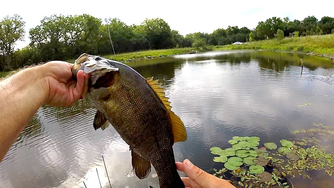 The Hidden Gem: Unveiling the Secrets of a Tiny Pond