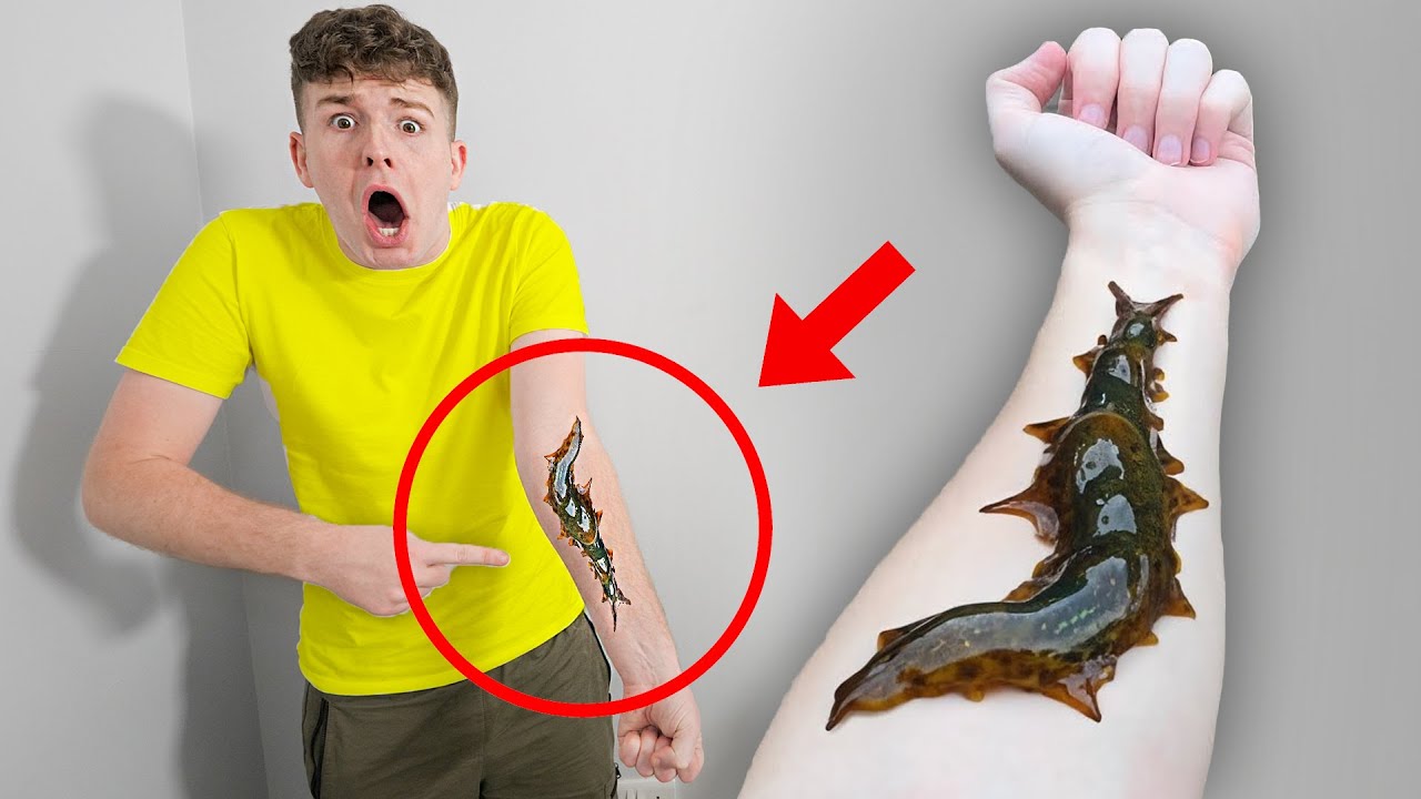 I got attacked by a disgusting slimy creature