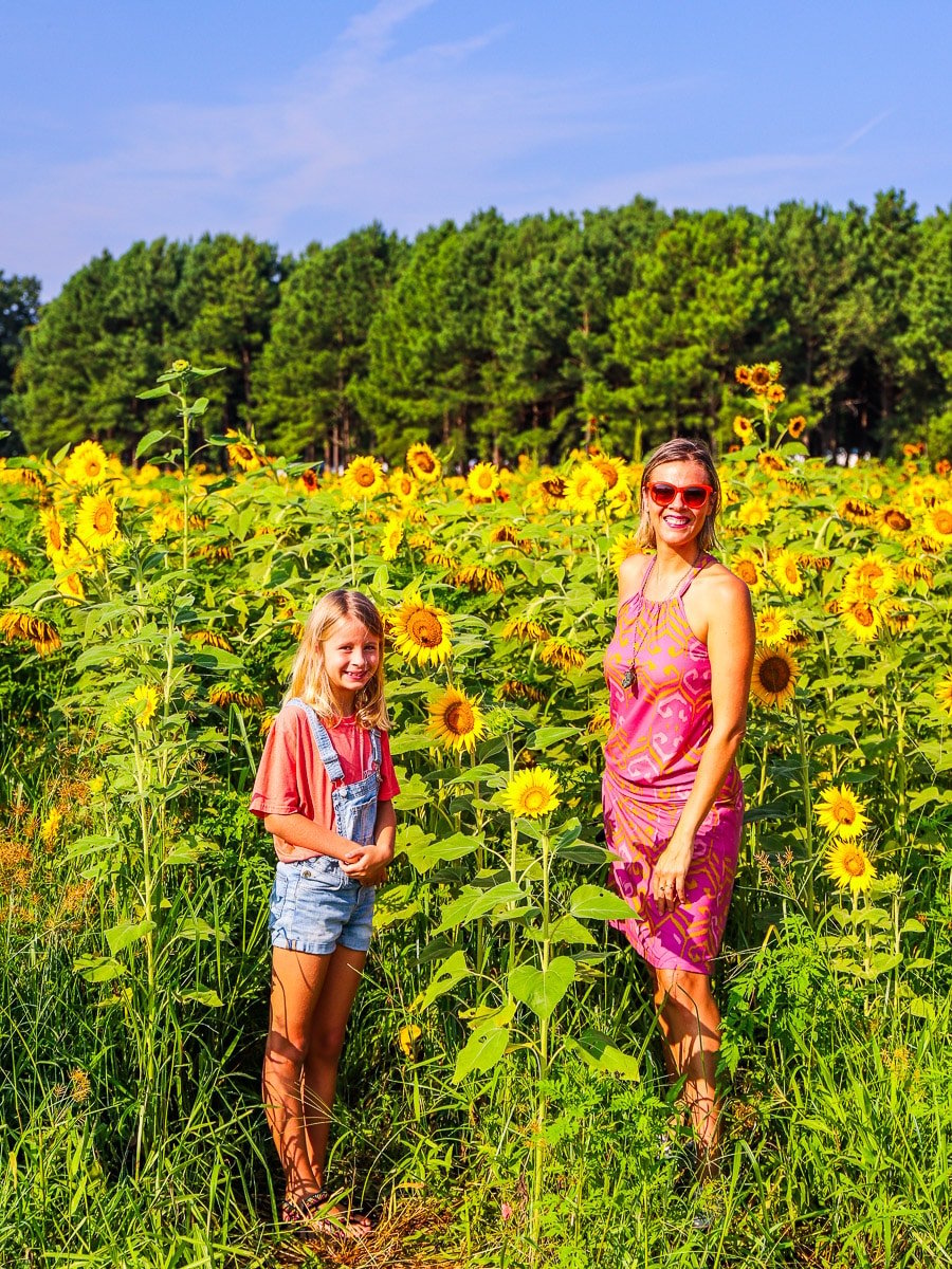 The 7 Best Sunflower Fields in Raleigh and Surrounding Triangle [U-Pick ...