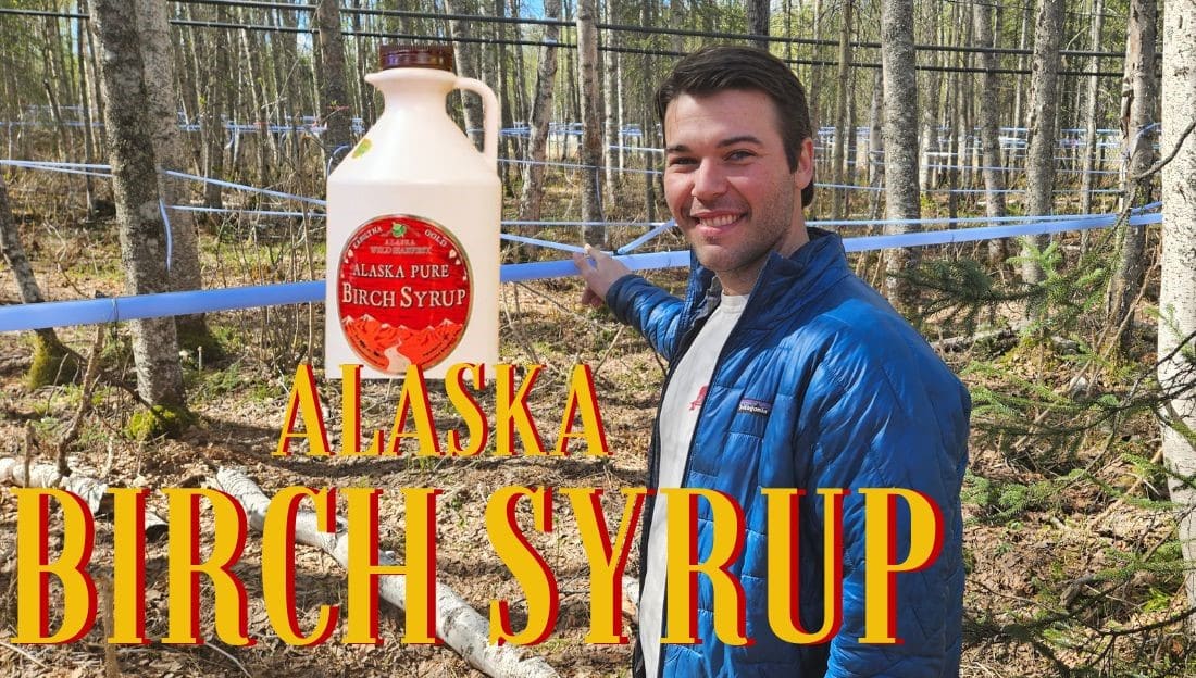 Birch is the New Maple: Discover the Little-Known Flavor and Health ...