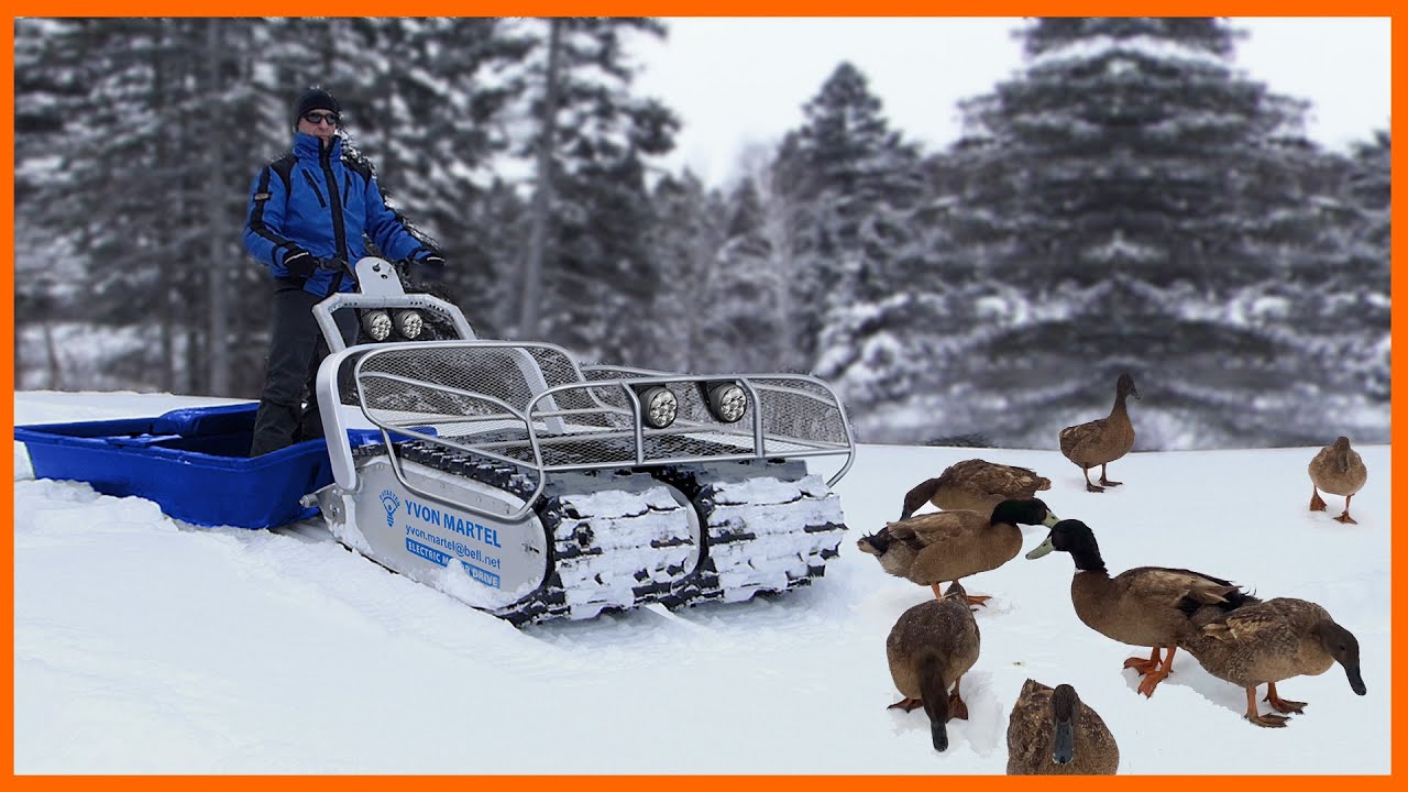 Duck dance party and snowmobile horse adventure