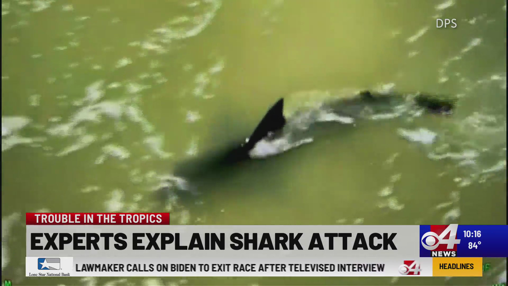 Experts explain shark attack Experts explain shark attack