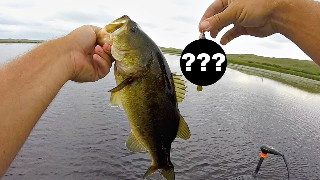 Could This Be the Ultimate Grass Fishing Lure?