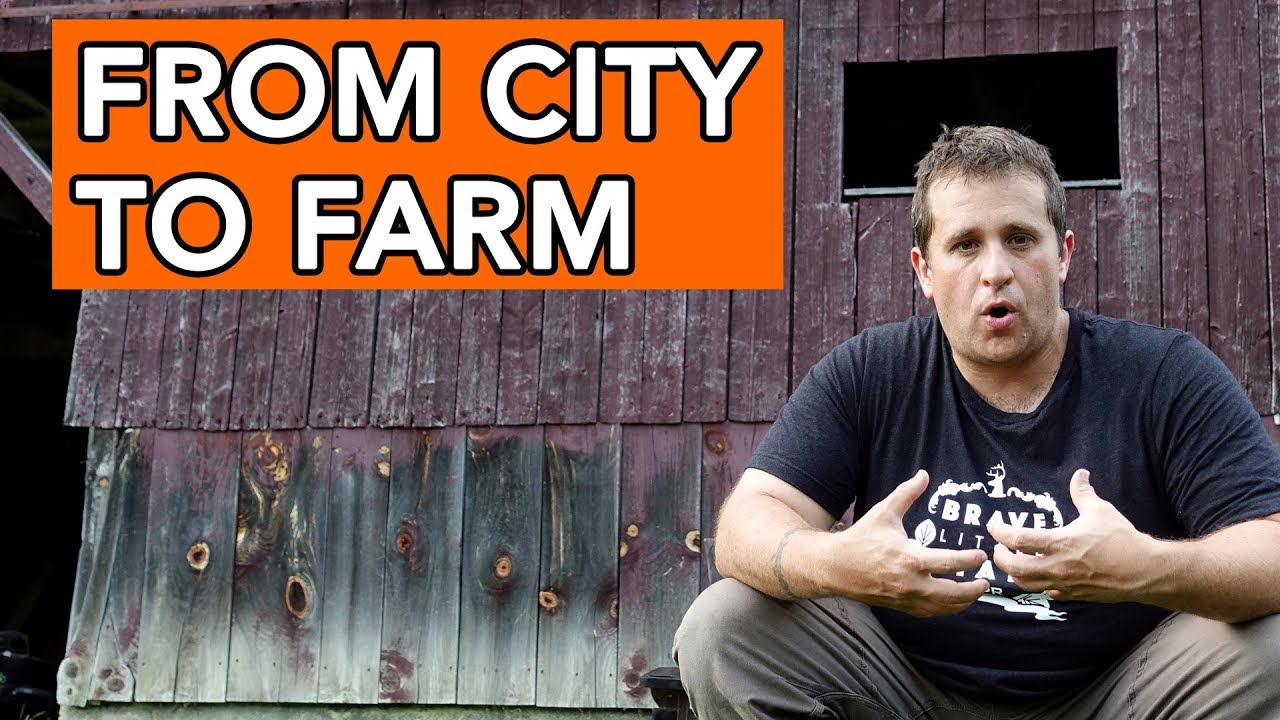 Reasons families are choosing farm life over cities