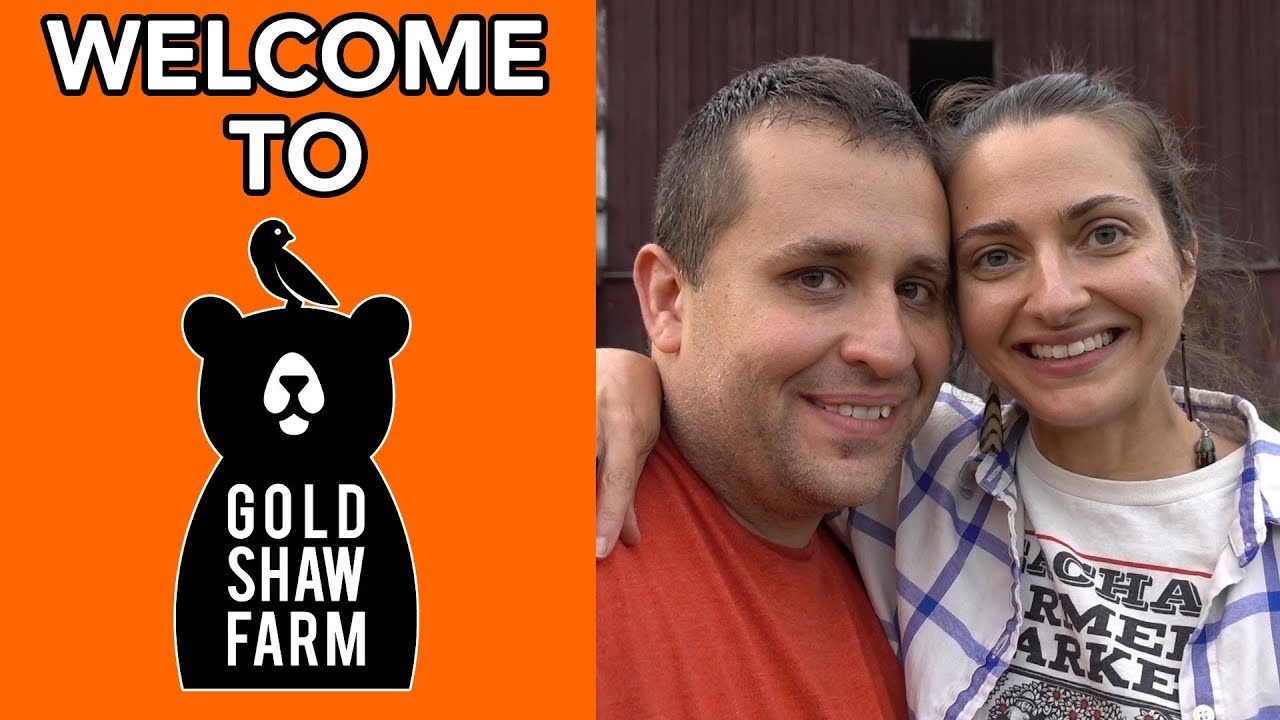 Welcome to Gold Shaw Farm
