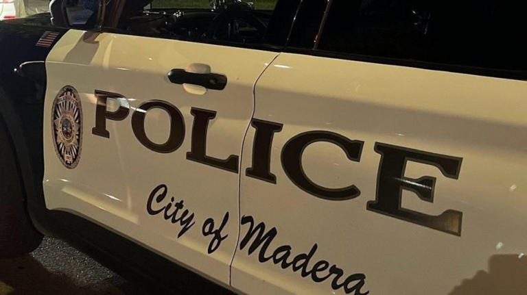 Madera Police warn Toyota Camry owners
