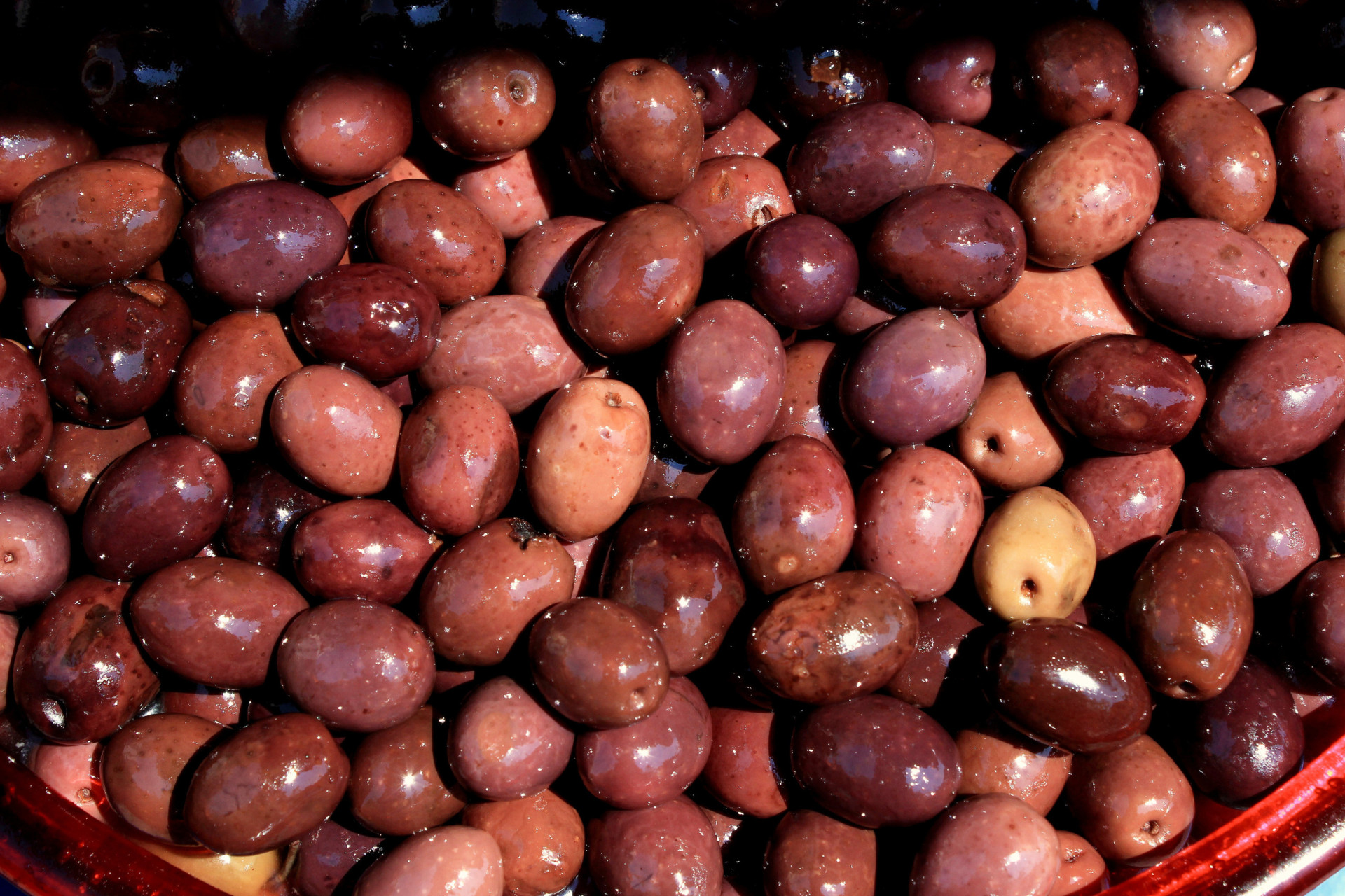 Types of olives every foodie must try