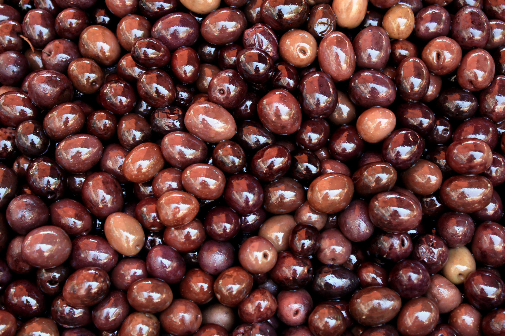 Types of olives every foodie must try