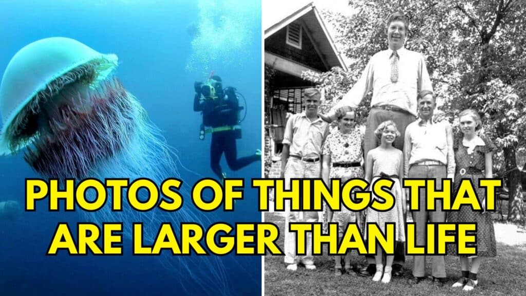 38 Outstandingly Big Things Photographed Next to Human Beings