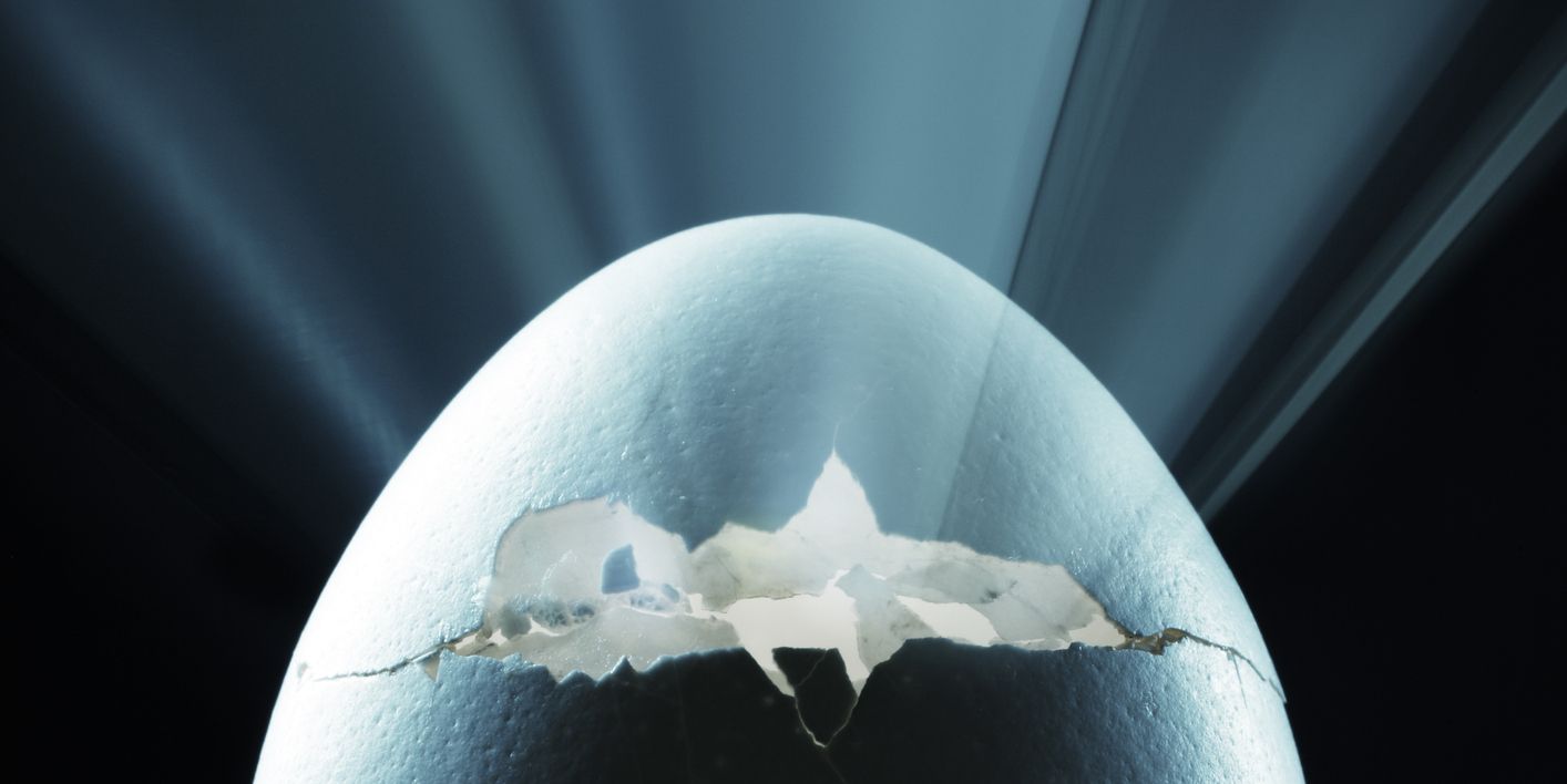 All Life on Earth Comes From One Single Ancestor. And It's So Much ...