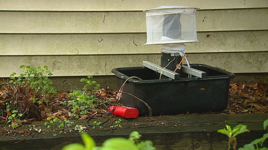 Ottawa County finds first 2026 case of West Nile virus in mosquito