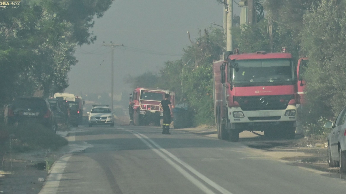 Φωτιά στην Εύβοια: Οι φλόγες απειλούν το εργοστάσιο της ΔΕΗ στο Αλιβέρι