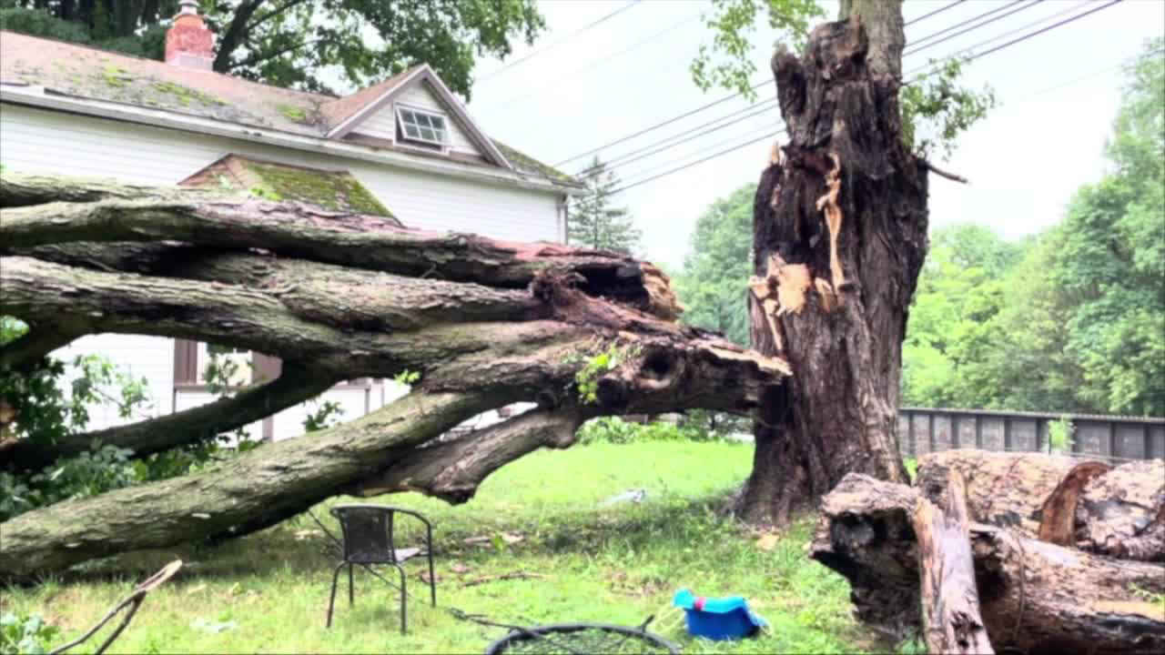 Severe weather knocks down trees and powerlines in Alden Severe weather knocks down trees and powerlines in Alden