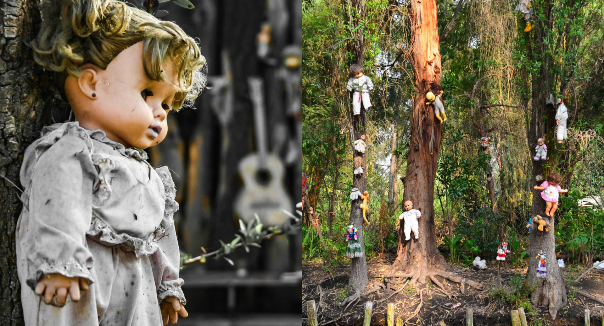 L'Île aux Poupées : oserez-vous visiter ce lieu hanté