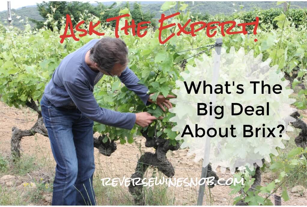 What's The Big Deal About Brix? Ask The Expert!