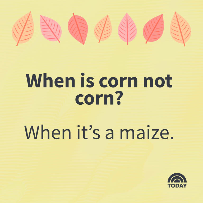 Crack up the youngsters with these 164 funny jokes for kids