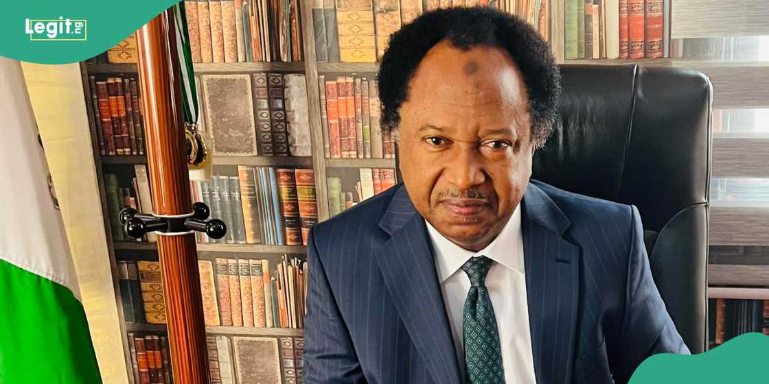2027 elections: Shehu Sani narrates how he secured APC senatorial ticket