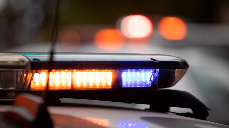 Woman runs into incoming traffic to save her dog, both hit and killed ...