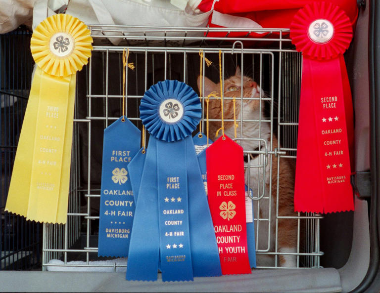 It's almost fair time in Michigan. When, where Greater Lansing fairs ...