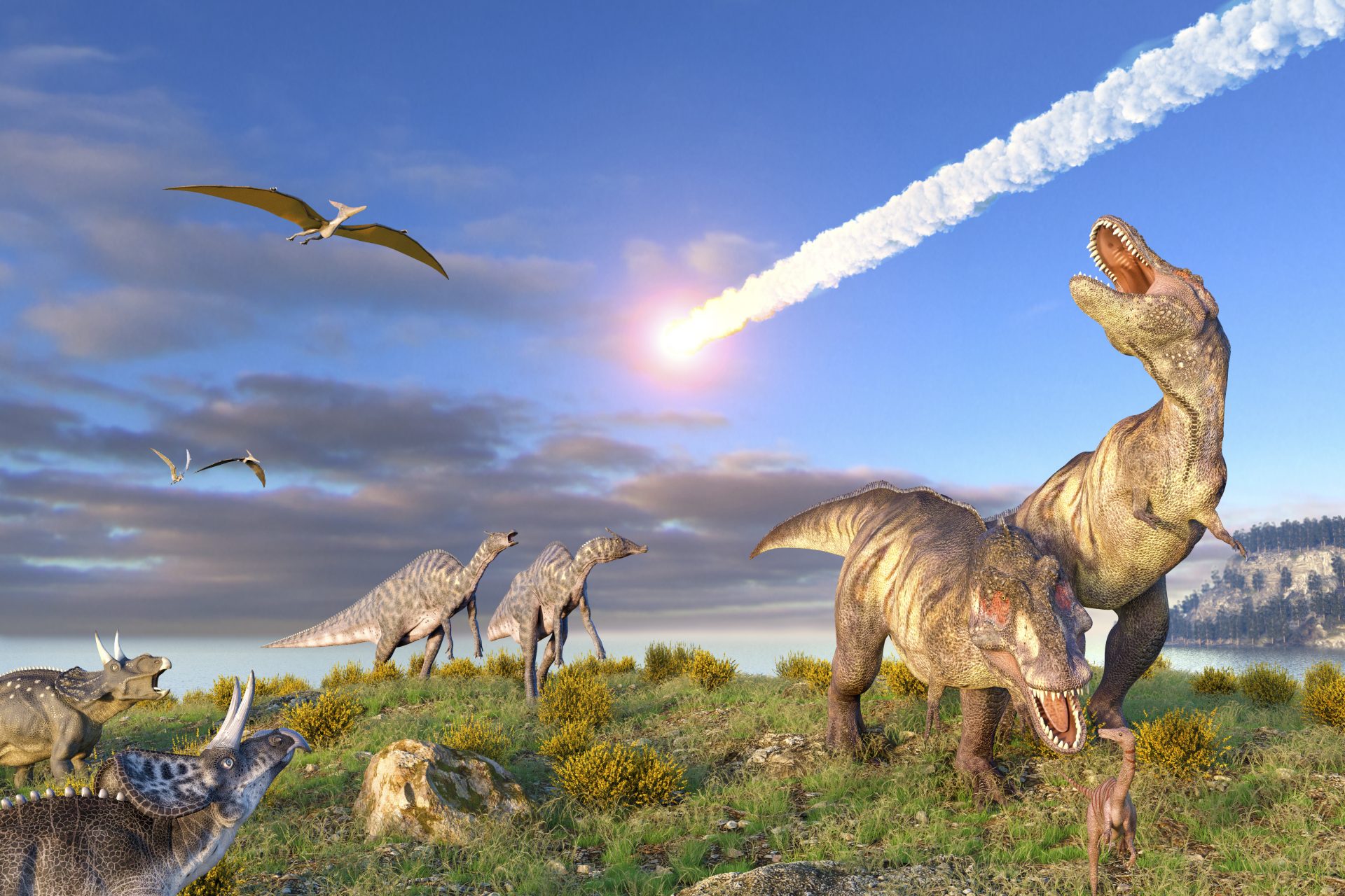 How the extinction of the dinosaurs shaped life on Earth