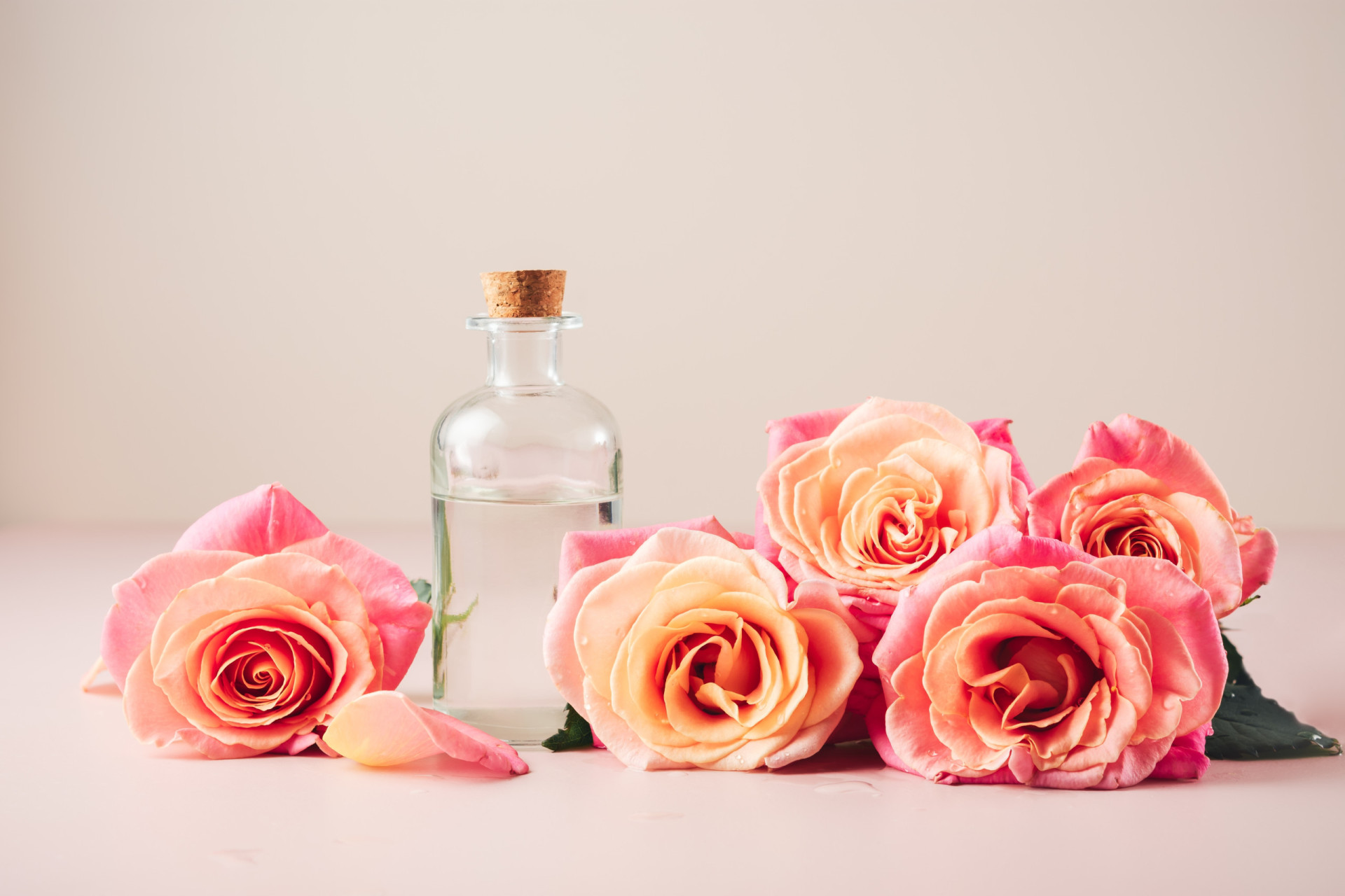 L'eau de rose, une histoire fascinante et de surprenants bienfaits