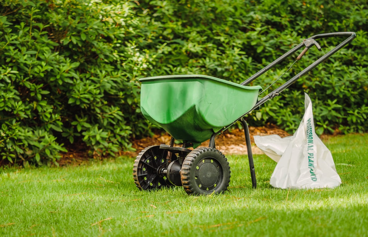 12 mistakes you're making in your yard, according to a landscape ...