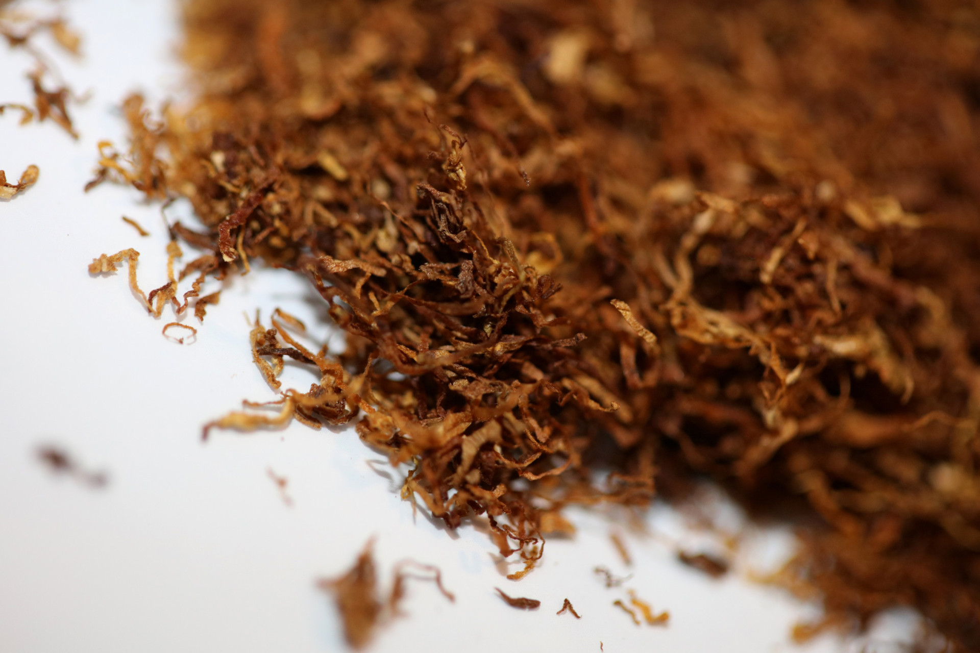 Surprising foods you didn't know contain nicotine