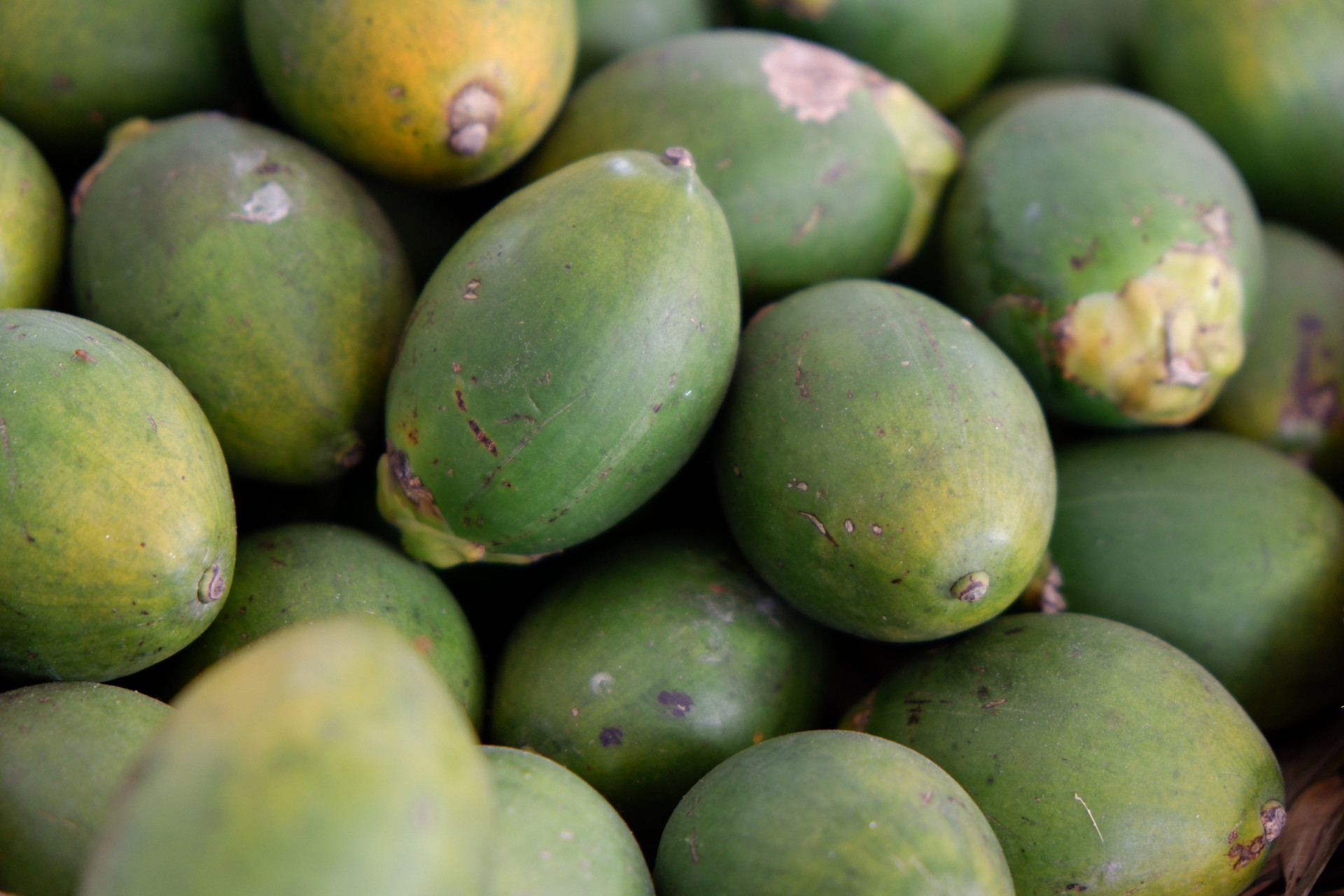 Surprising foods you didn't know contain nicotine