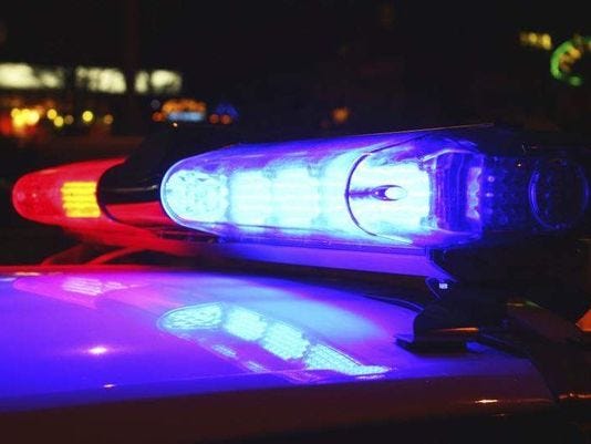 Police: Woman, 19, reported missing in Delta Township found dead