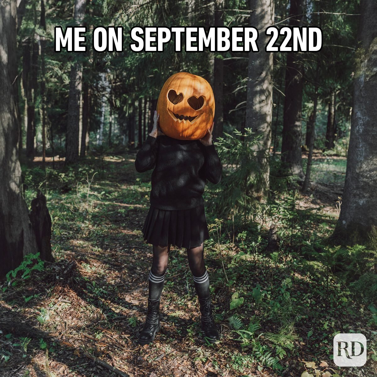 40 Funny Fall Memes That Perfectly Sum Up Autumn’s Humor