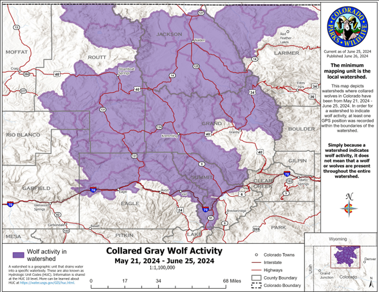 CPW shares monthly wolf movement as 26 organizations petition for no ...