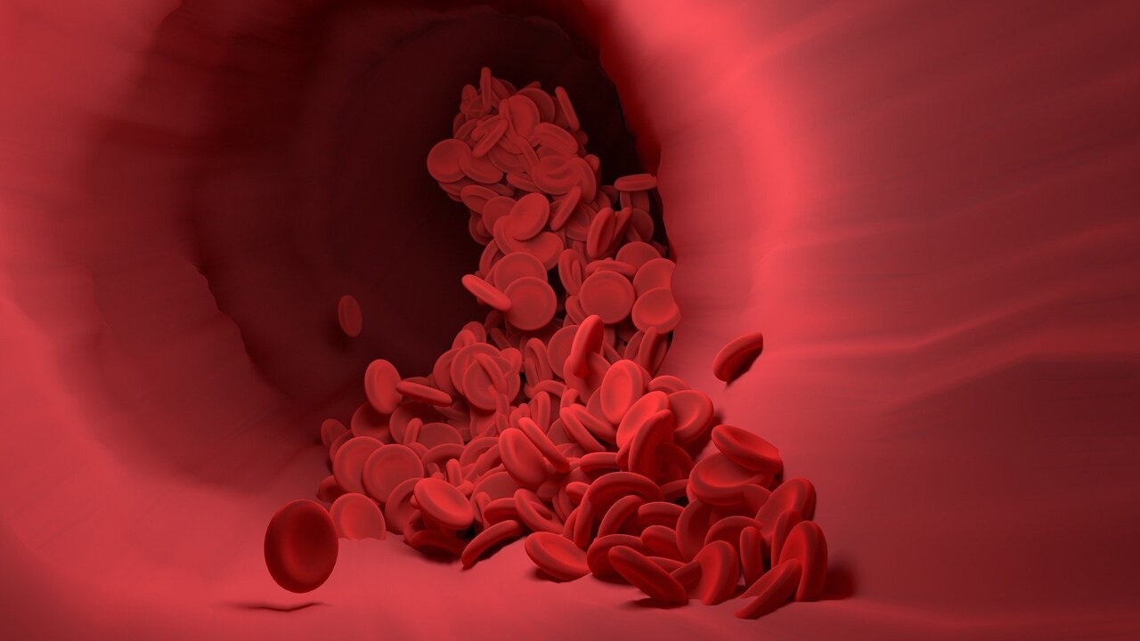 Key genes that act as a brake on blood cancer growth reveal potential ...