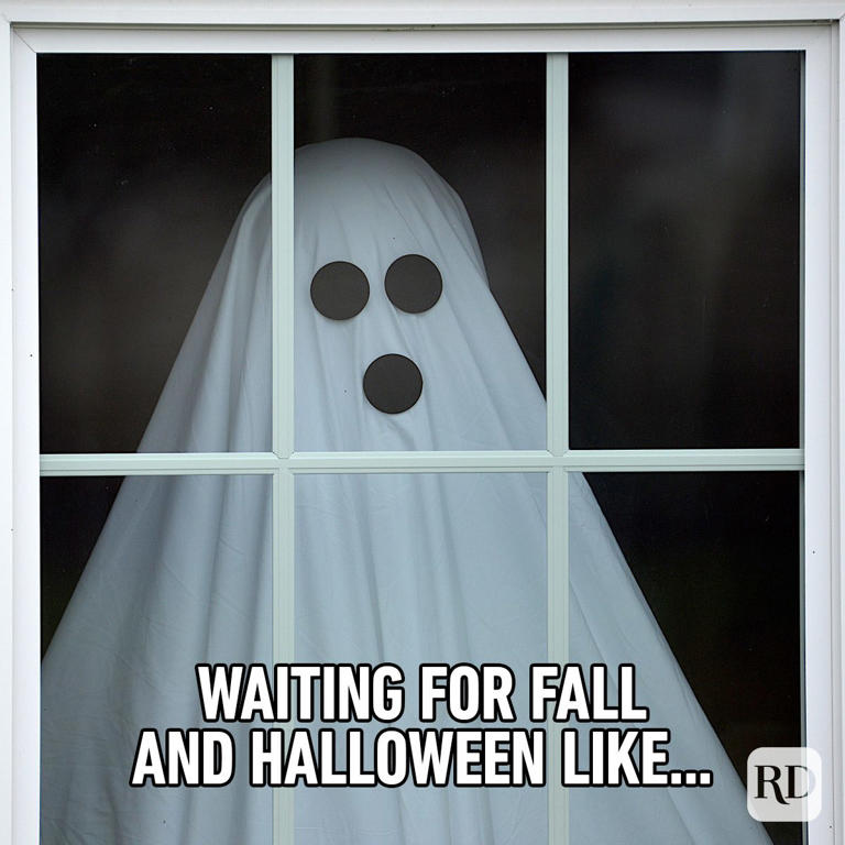 40 Funny Fall Memes That Perfectly Sum Up Autumn’s Humor